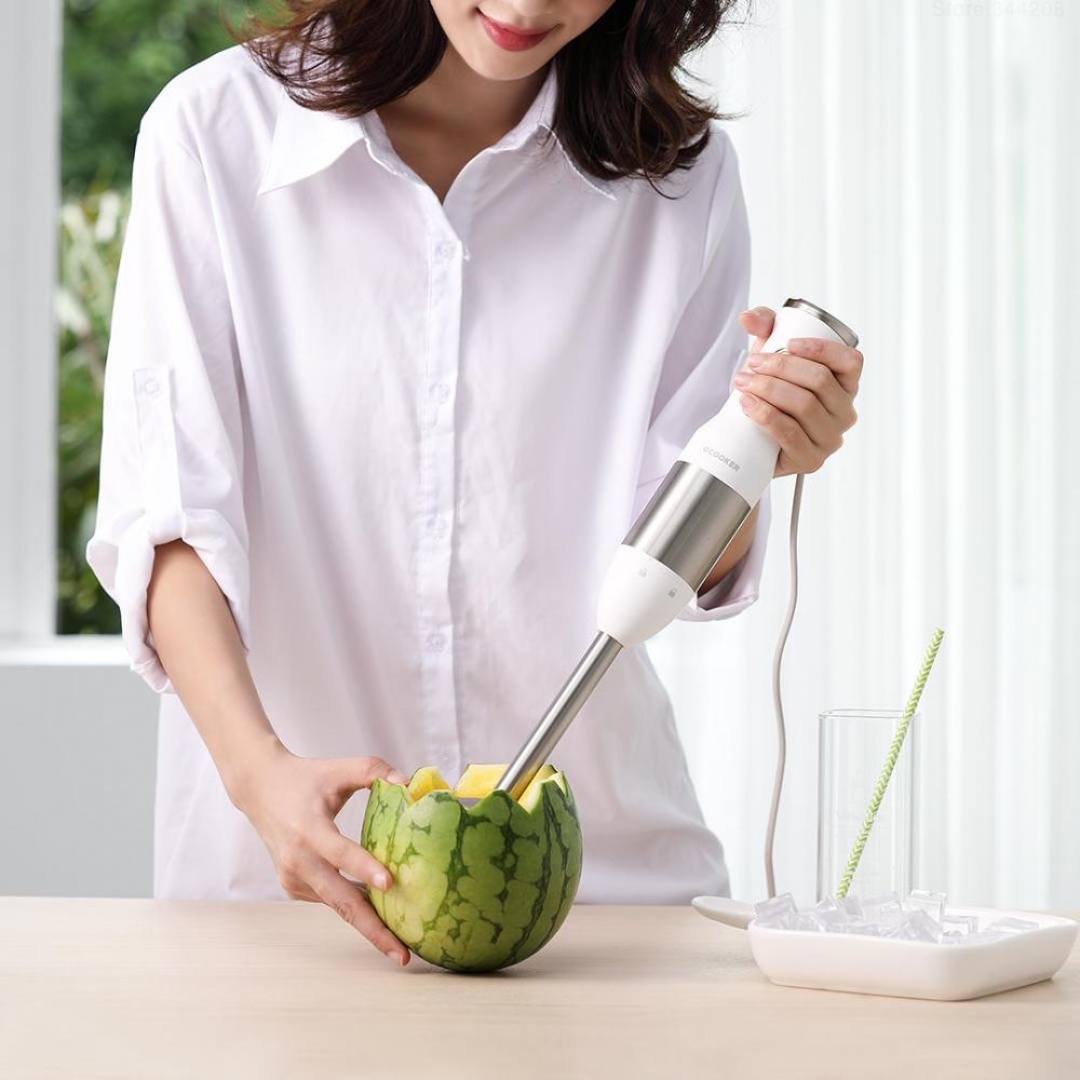 Portable Hand Multi-functional Blender – FEJJ MALL